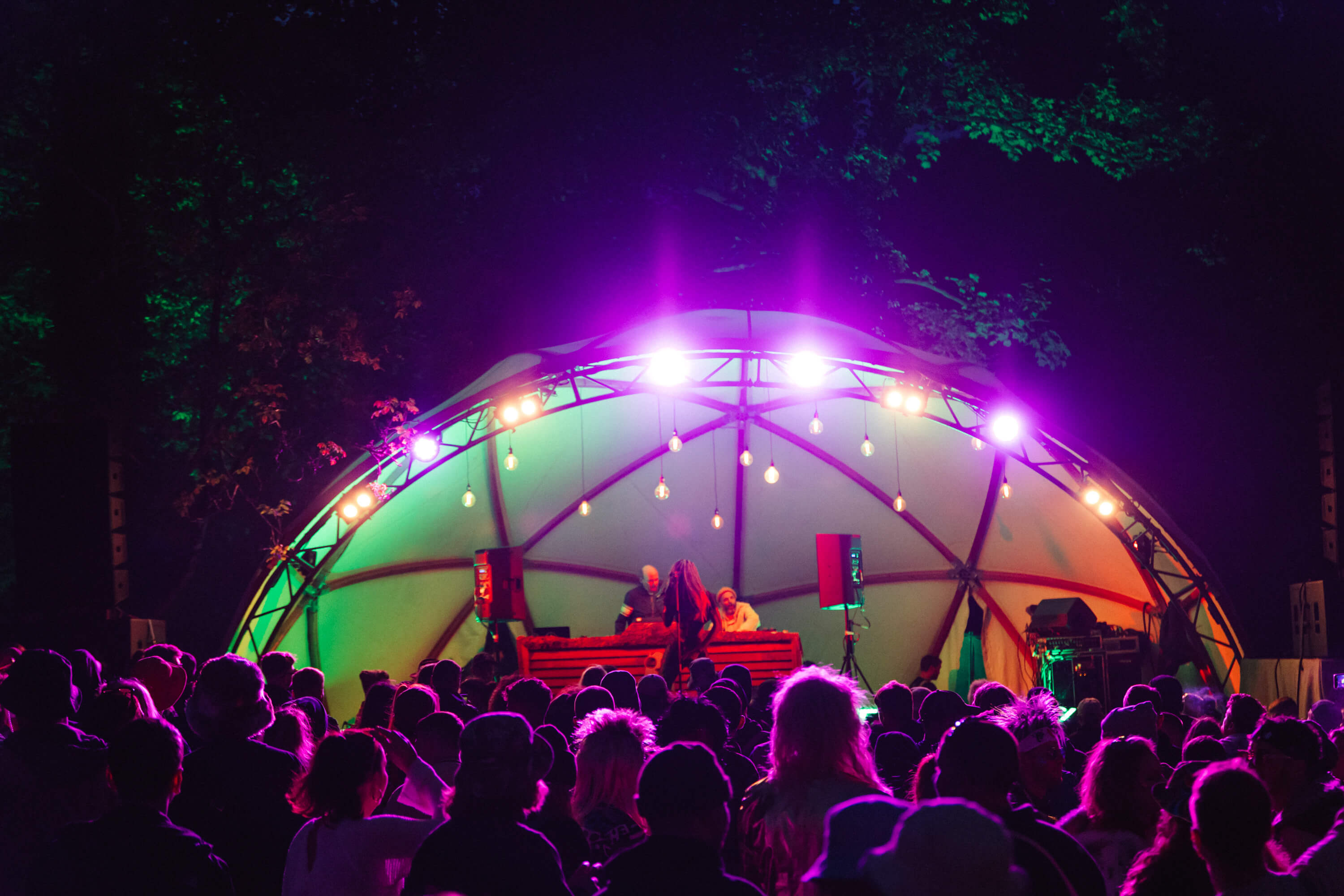 Gottwood Festival :: Electronic Music and Arts Festival :: Anglesey, Wales